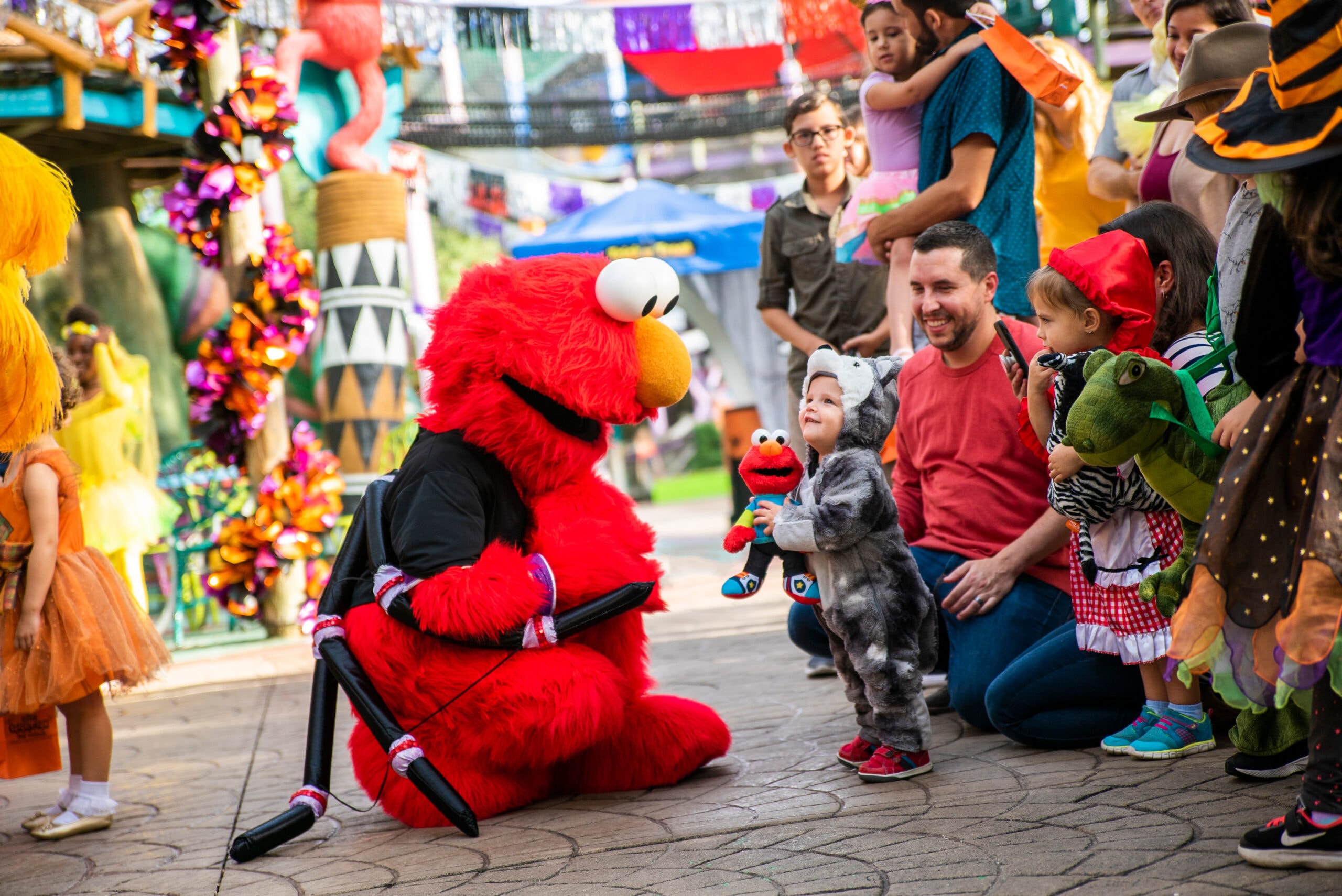 Sesame Street Weekends Return At Busch Gardens - Experience Tampa Bay